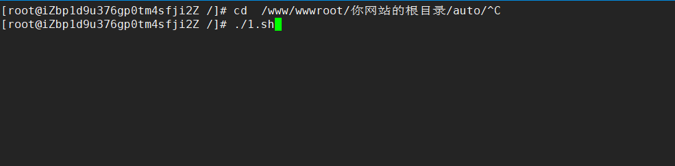 【已解答】怎么执行cd /www/wwwroot/你网站的根目录/auto/ - Linux面板 - 宝塔面板论坛